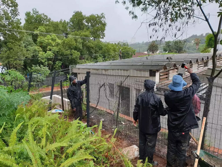 How To Install Clearview Fencing: Everything You Need To Know - 0861 ...